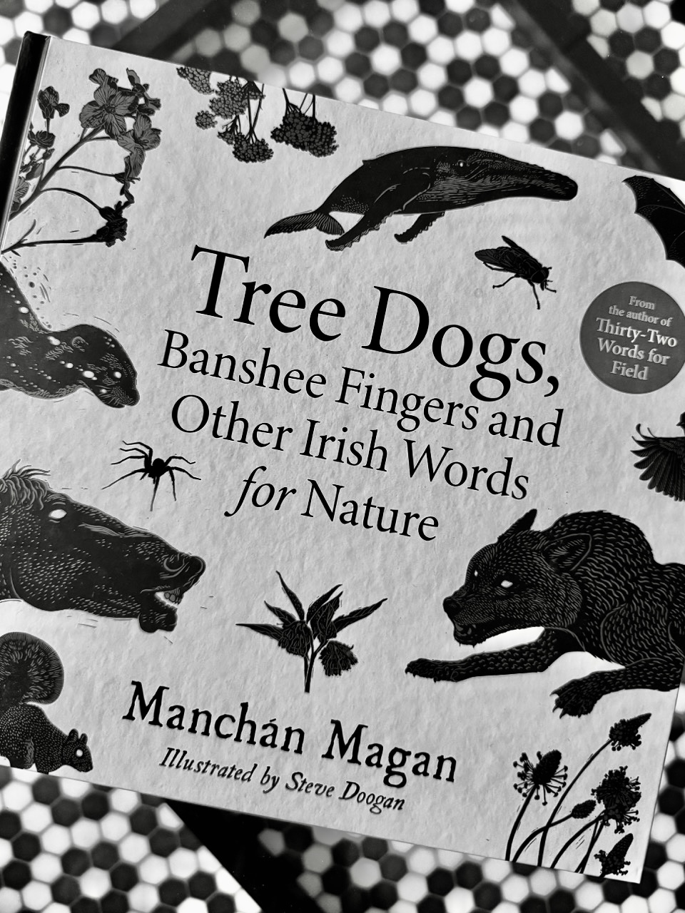 Leaning into Magic - Zingerman's Community of Businesses