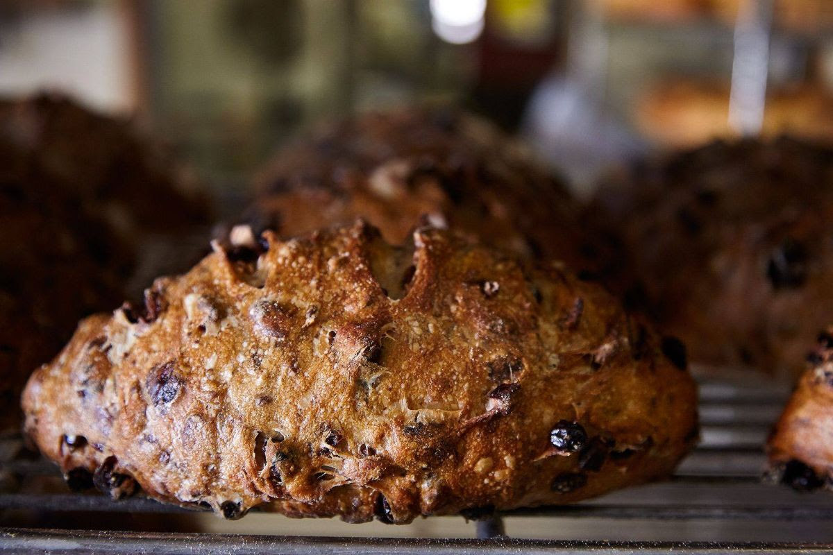 Paesano: Our Holey-est Bread - Zingerman's Community of Businesses